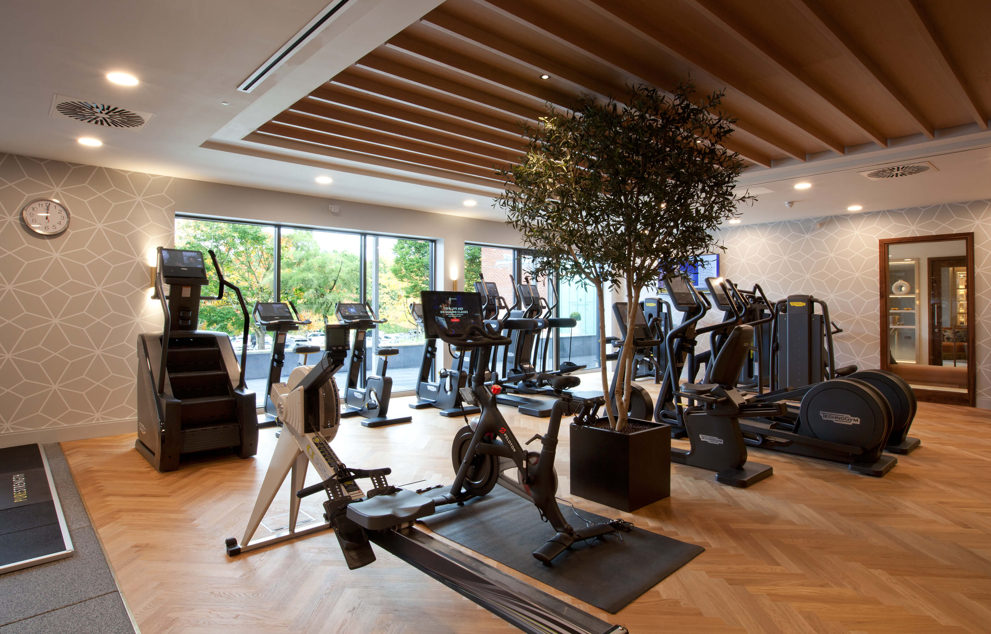 This website uses cookies to improve your experience. We'll assume you ...